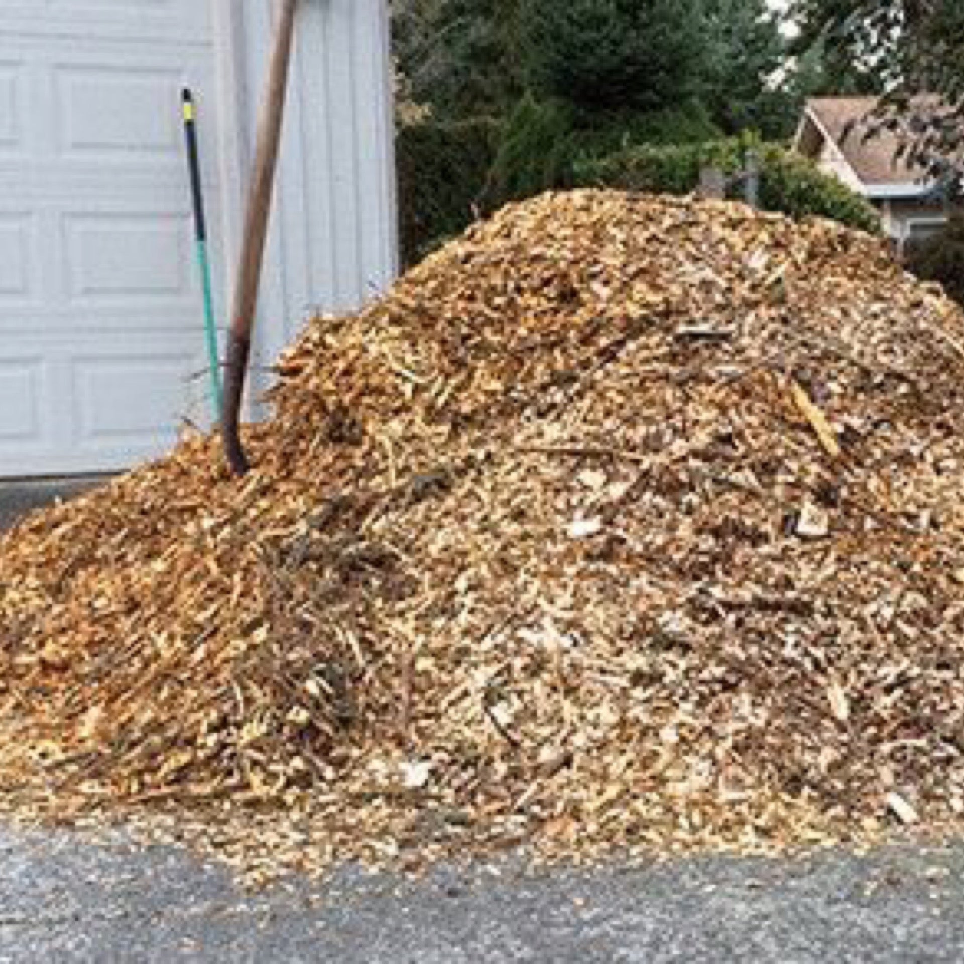 Wood chips | Trees That Please
