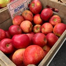 Rome Apple | Trees That Please